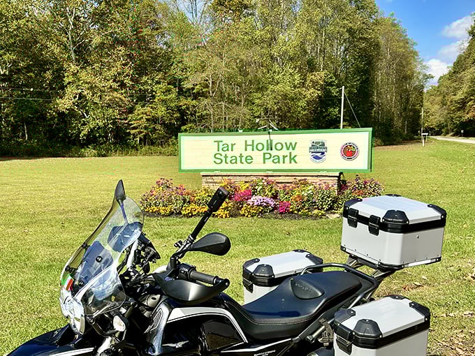 The trail map reveals Tar Hollow's secrets like a treasure hunt for adults. Those red lines represent miles of potential adventures waiting just around the bend.