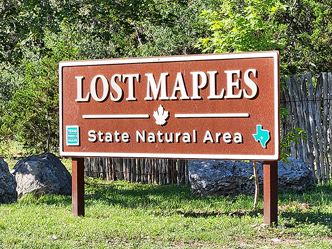 The entrance sign promises maple trees in Texas, which sounds about as likely as finding penguins in the Sahara&mdash;yet here they are.