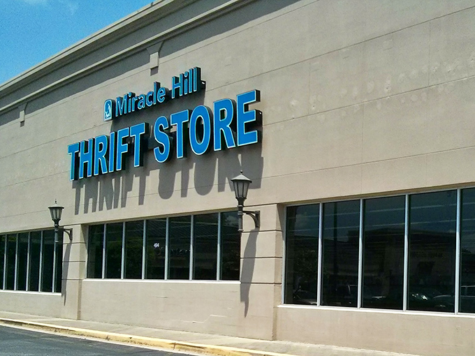 The blue signage beckons like a lighthouse to bargain hunters. In the distance, you can almost hear wallets sighing with relief.