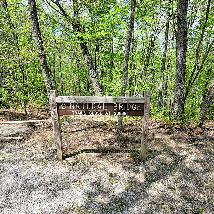 Clear signage proves that good hospitality starts with helping visitors know exactly where they're going.