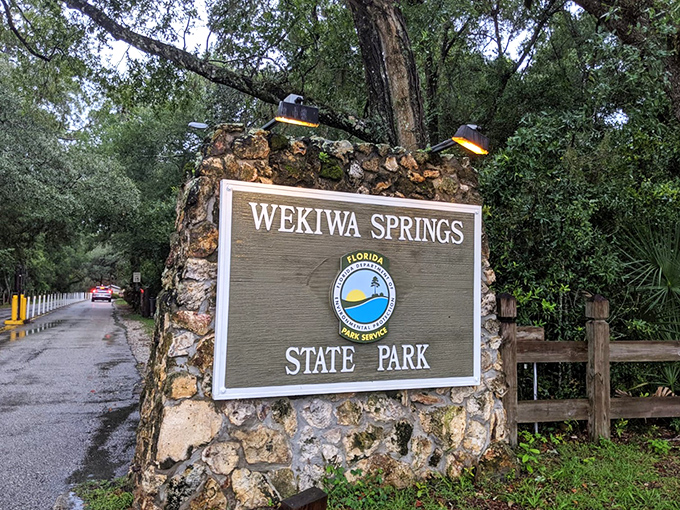 The entrance sign promises what lies beyond – not just a park, but a portal to Florida's soul, standing unchanged while the world around it transforms.
