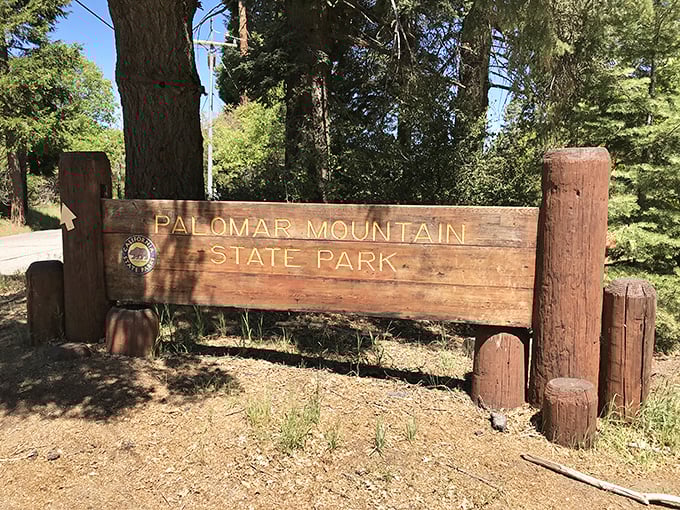 The wooden welcome sign that promises adventure beyond. Like the wardrobe to Narnia, but with better hiking trails.