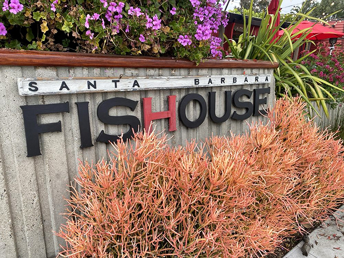 That iconic sign, framed by coastal flora, has welcomed seafood pilgrims for years – a beacon of hope for the hungry and fish-obsessed.