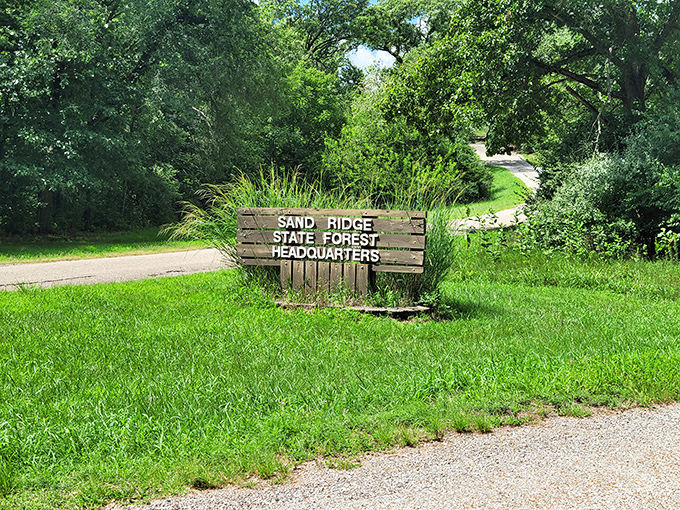The welcome sign that promises adventure&mdash;Sand Ridge headquarters, where Illinois' largest state forest begins its sandy story.