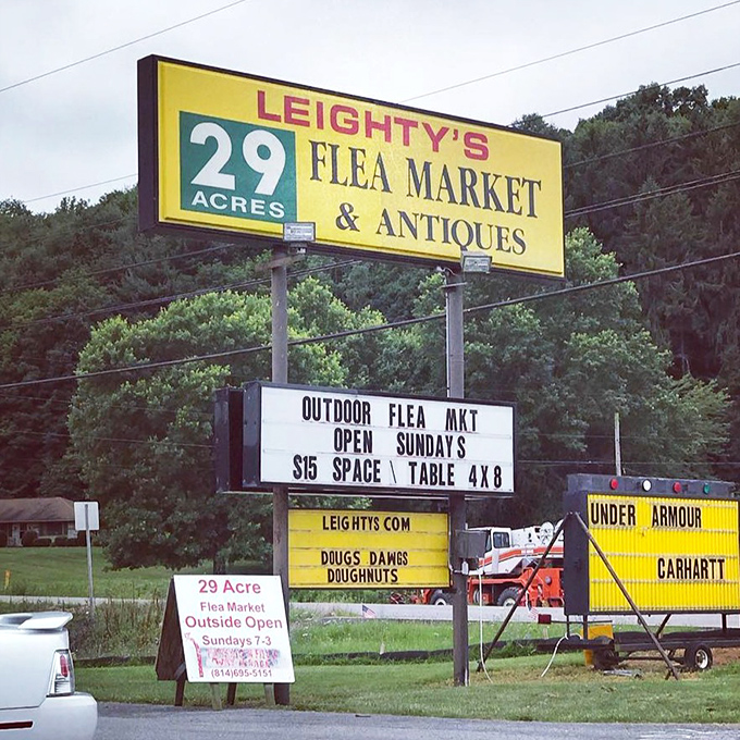 Twenty-nine acres of possibility advertised with charming directness &ndash; and the promise of doughnuts, which might be reason enough to visit.