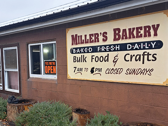 The sign says it all: "Baked Fresh Daily." In a world of empty promises, here's one you can literally sink your teeth into.