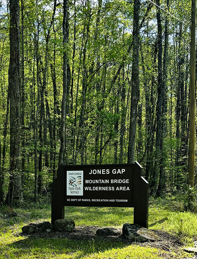 The official welcome sign to wilderness paradise. Like the doorway to Narnia, but with better hiking trails and fewer talking lions.