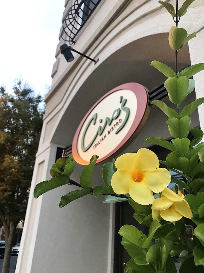 Even the flowers seem to know they're in good company, framing Ciro's signature logo like nature's own stamp of approval.