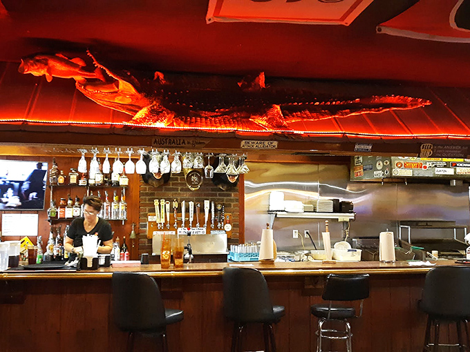Where the magic happens. That alligator overhead isn't just decoration&mdash;it's a conversation piece illuminated in dramatic red lighting.