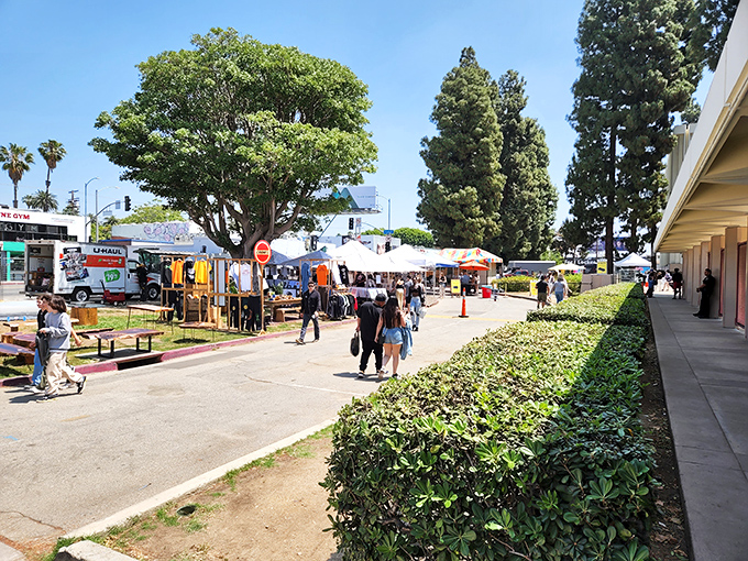 The market sprawls across the school grounds, where LA's perfect weather turns ordinary pavement into retail real estate gold.