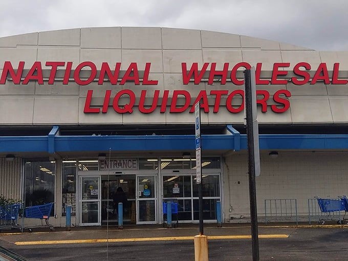The entrance to bargain paradise, where shopping carts wait to be filled with treasures. Each visit promises different discoveries behind these doors.
