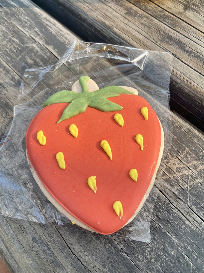 This strawberry cookie isn't just a treat—it's summer captured in sugar form, ready to brighten even the grayest Ohio afternoon.