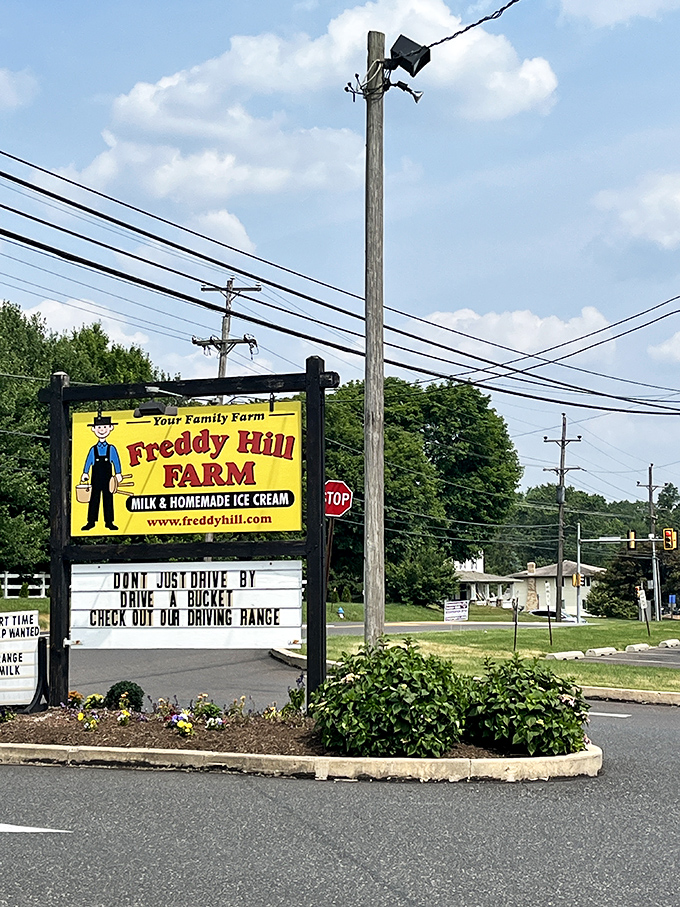 The roadside beacon that's saved countless travelers from the tragedy of driving past without stopping. This sign has prevented more disappointments than a weather forecast.