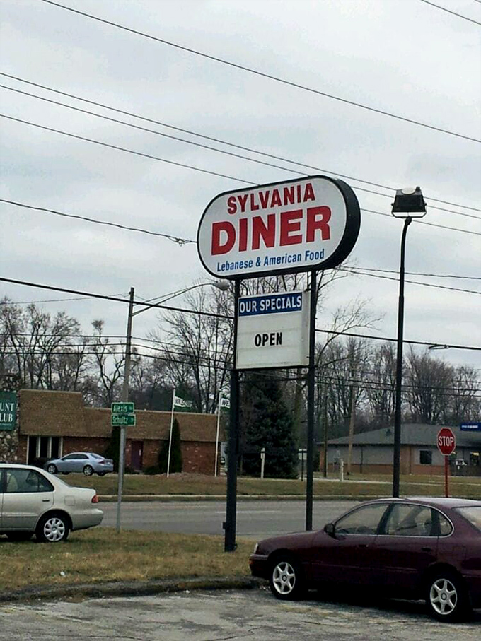 "Lebanese & American Food" proclaims the roadside sign. In Sylvania, culinary worlds collide in the most delicious way possible.
