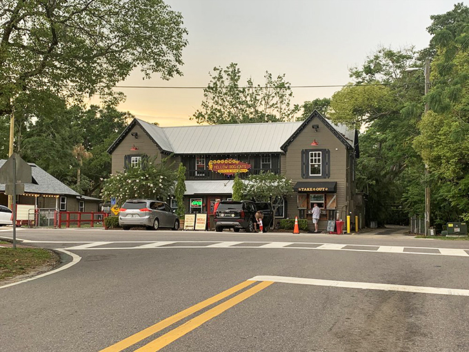 As dusk settles, Yellow Dog Eats stands as a beacon of BBQ excellence. The humble building has achieved landmark status among Florida's discerning meat enthusiasts.