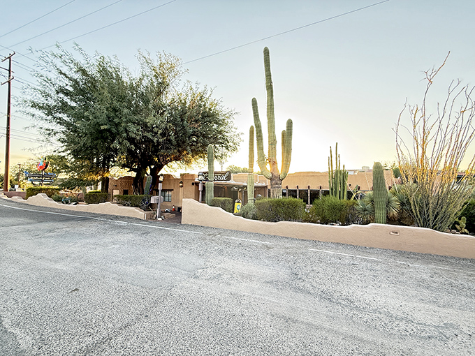 From the outside, El Corral stands as a testament to Tucson's heritage, where towering cacti and adobe walls frame a temple to Southwestern cuisine.