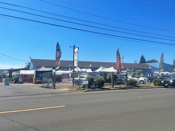 The unassuming exterior hides a labyrinth of wonders that would make any bargain hunter's heart skip.