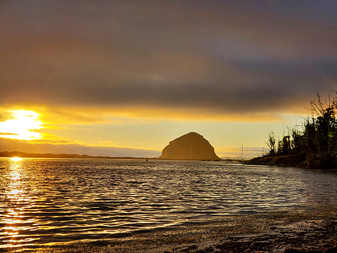 As the sun bids farewell, Morro Rock transforms into a silhouette artist's dream, reminding us why California sunsets remain undefeated.