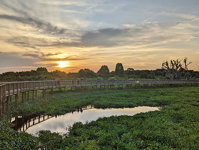 As the sun takes its final bow, the prairie puts on a light show that makes Las Vegas look understated. Nature's grand finale never disappoints. 