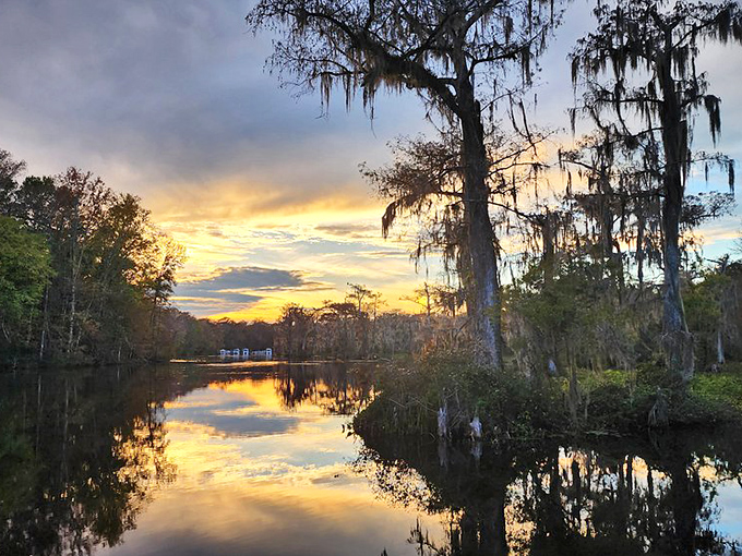Mother Nature's masterpiece: sunset transforms Wakulla Springs into a mirror of golden light, Spanish moss silhouettes, and the promise of tomorrow's adventures.