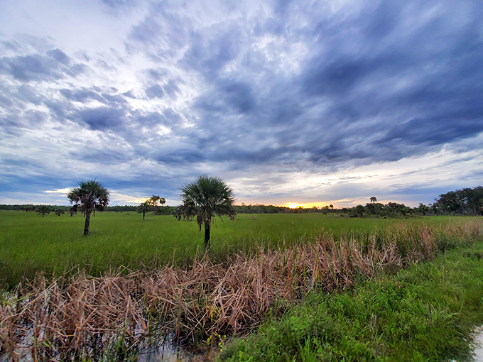 Sunset paints the prairie in hues no filter could improve. This is Florida showing off what it looked like before condos and theme parks.