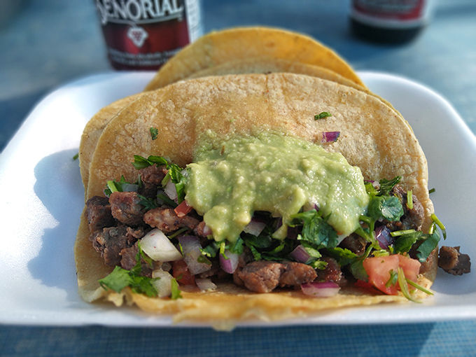 Taco perfection in its natural habitat&mdash;handmade tortillas cradle seasoned meat topped with fresh cilantro and creamy avocado.