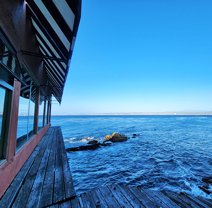 The view that makes you forget what you ordered. When the Pacific looks this blue, even water tastes better.