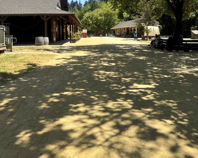 The heart of Roaring Camp's recreated logging town, where wooden buildings and dirt streets set the stage for your journey into California's past.