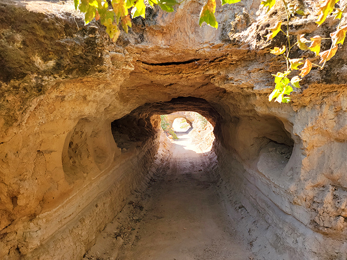 Light at the end of the tunnel isn't just a metaphor here. These hand-carved passageways connect different chambers while providing essential ventilation.
