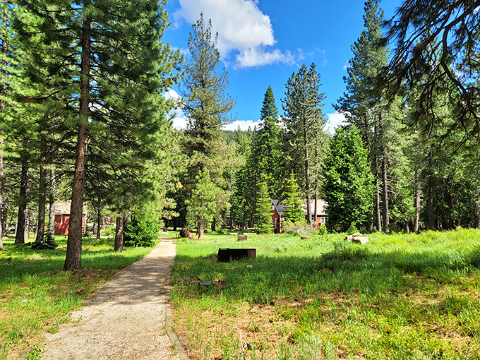 The path less traveled, yet perfectly maintained. This inviting trail through sun-dappled pines practically begs for a leisurely stroll.
