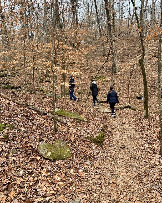The forest floor carpeted in autumn's discarded wardrobe. These trails whisper stories to those who listen while crunching through nature's finest confetti.