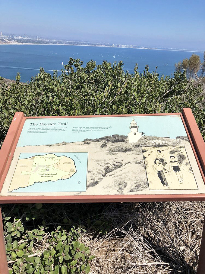 Interpretive signs along the Bayside Trail help visitors appreciate what they're seeing. Like having a knowledgeable friend along, but one who never interrupts.
