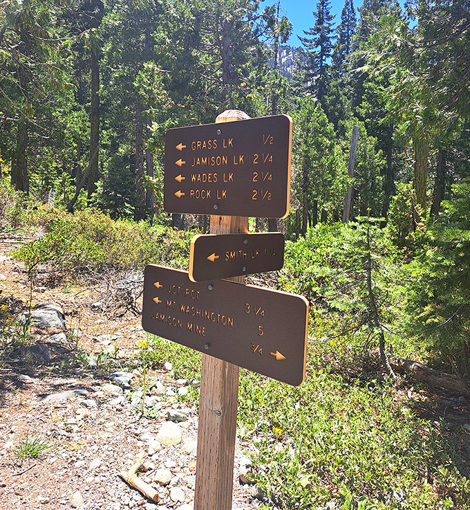 Trail signs pointing toward adventures your fitbit will either celebrate or seriously question.