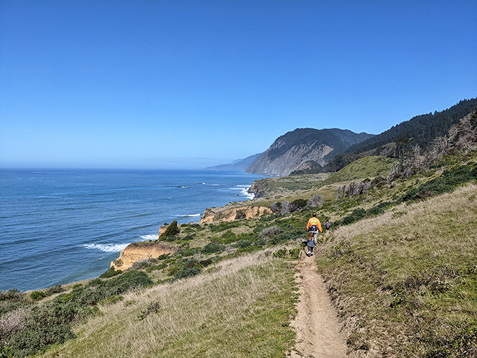 The Lost Coast Trail&mdash;where every step forward offers views that make you stop in your tracks. A beautiful contradiction in hiking form.