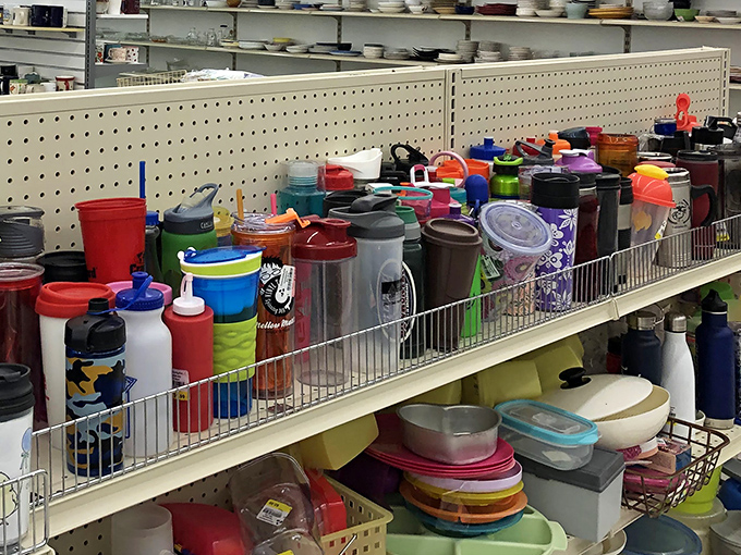 A rainbow regiment of water bottles and food containers stands at attention. In the battle against single-use plastics, these soldiers are ready for duty.