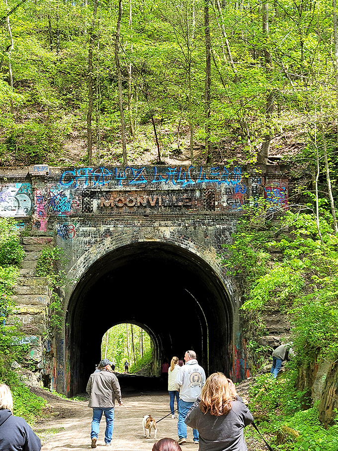 Spring brings vibrant life around the tunnel entrance, creating a jarring contrast with the darkness that awaits within.