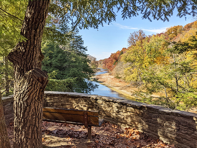 The best seat in the house doesn't require reservations. This simple bench offers million-dollar views that no city penthouse could ever match.