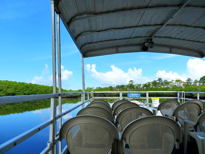 Nature's cruise ship, minus the buffet and karaoke. The park's boat tour offers front-row seats to Florida's wild side without breaking a sweat. 