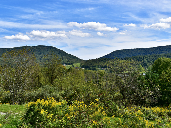 Rolling hills stretch toward the horizon, reminding visitors that Pennsylvania's beauty doesn't need filters&mdash;just your undivided attention for a moment. 