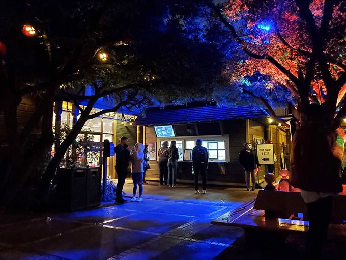 Visitors gather for nighttime experiences, drawn like moths to the flame of America's most fascinating architectural oddity. The house always has room for more curious souls.