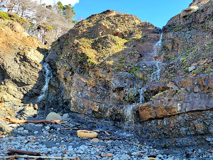 A seasonal waterfall reminds us that California isn't all sunshine and palm trees. The state contains multitudes, including this hidden cascade.