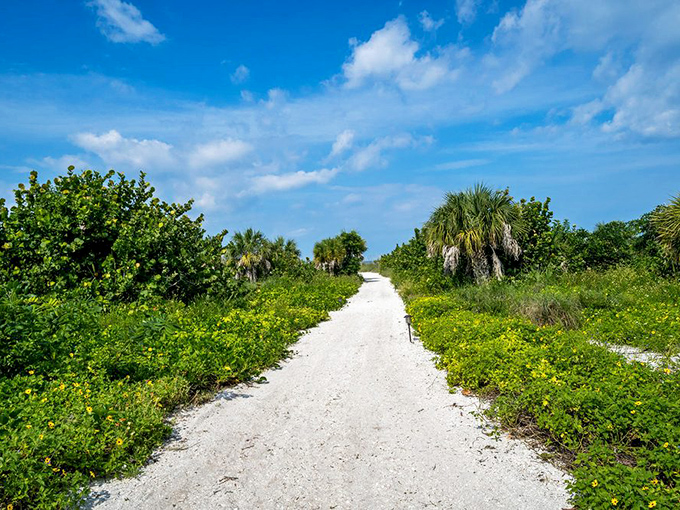 The path less traveled leads to rewards worth seeking. This natural corridor through Keewaydin's interior vegetation promises adventure at every turn.