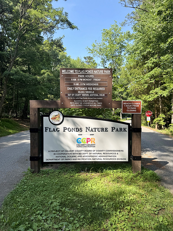 The gateway to adventure doesn't need neon lights. This understated entrance sign marks the boundary between ordinary life and natural wonder.