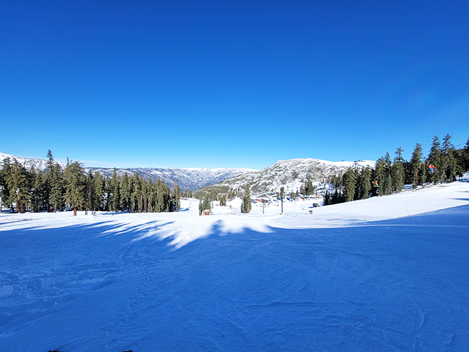 Bluebird ski days like this are what winter dreams are made of. That untouched corduroy snow is practically begging for first tracks.