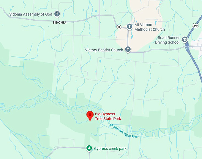 16. big cypress tree state park map
