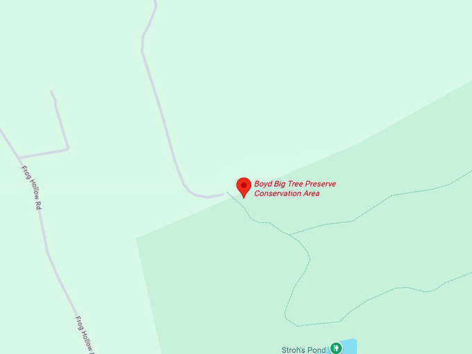 16. boyd big tree preserve conservation area map