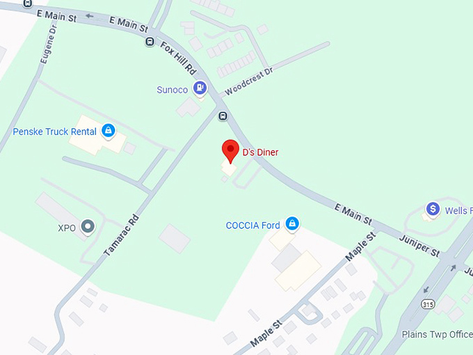 16. d's diner plains map