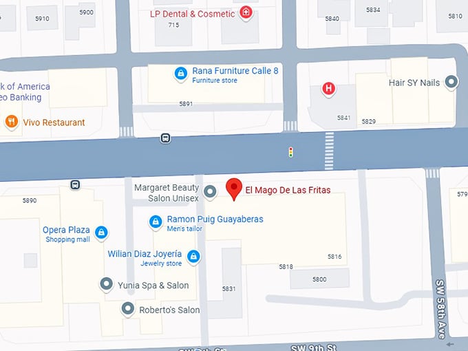 16. el mago de las fritas map