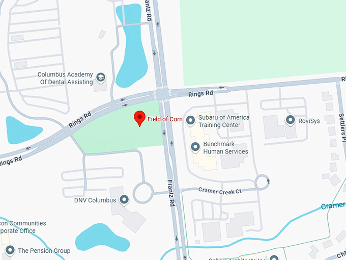 16. field of corn map