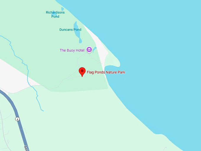 flag ponds nature park map